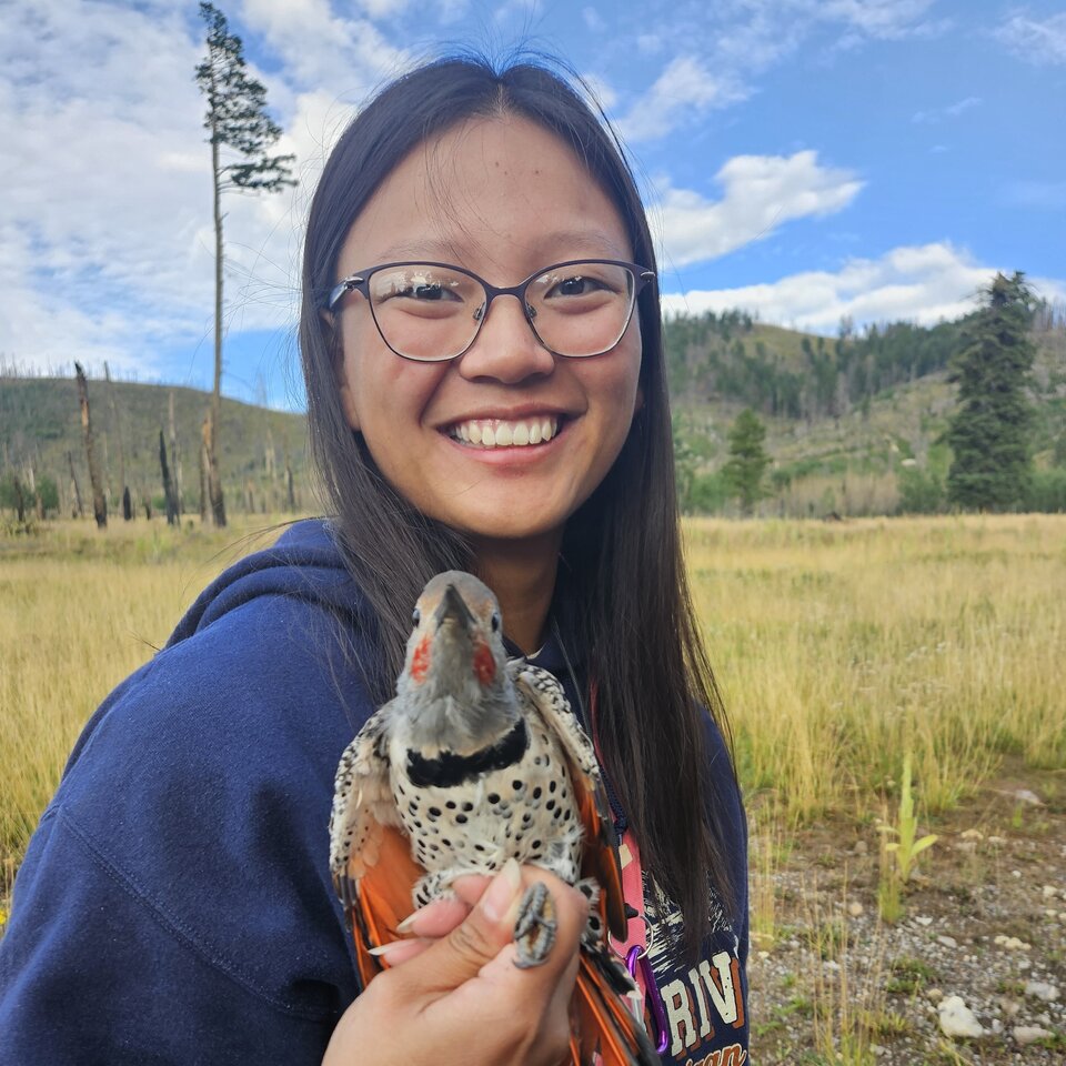 Anne Talbot | Applied Wildlife Ecology & Spatial Movement Lab | Nebraska